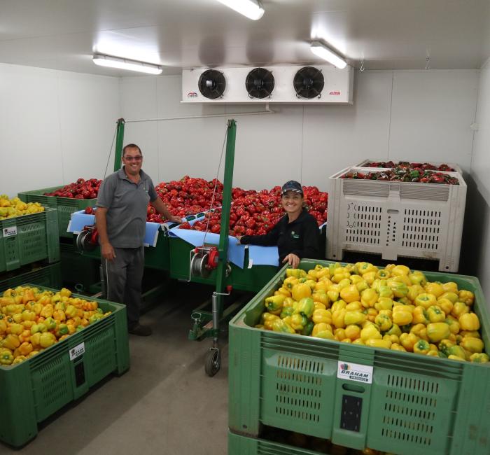 Meet the grower: Braham Produce | Veggies First